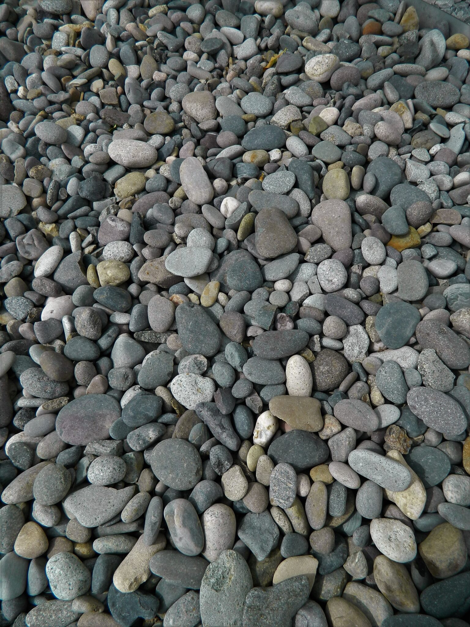 Mesa Grey River Cobble – Bedrock Landscaping