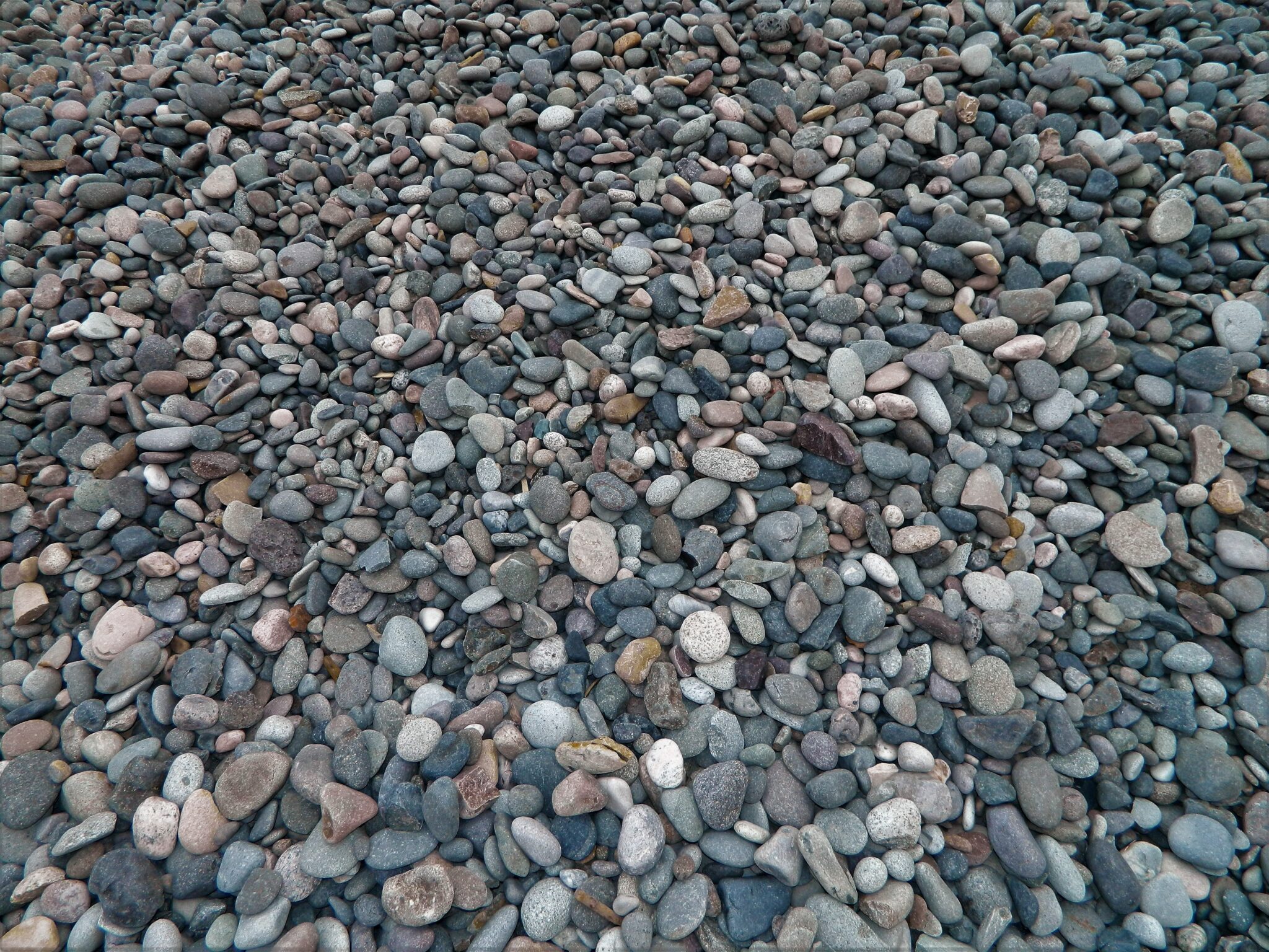 Mesa Grey River Cobble – Bedrock Landscaping Materials